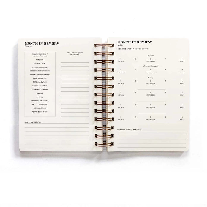 Ladybird Wellness Mindfulness Gratitude Journal – Fathom & Co.